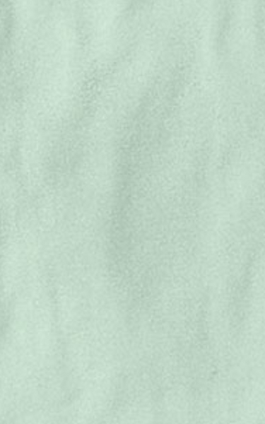 CUSTOM-4400 – Brisco USA